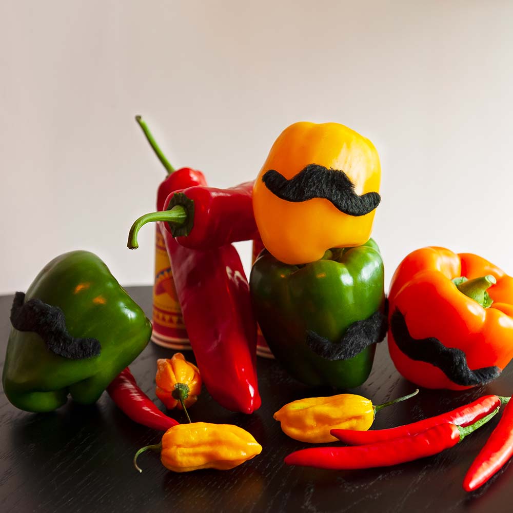 Mexican Moustaches: Fiesta Mexicana:5 Item, black | CH onlineshop buy ...