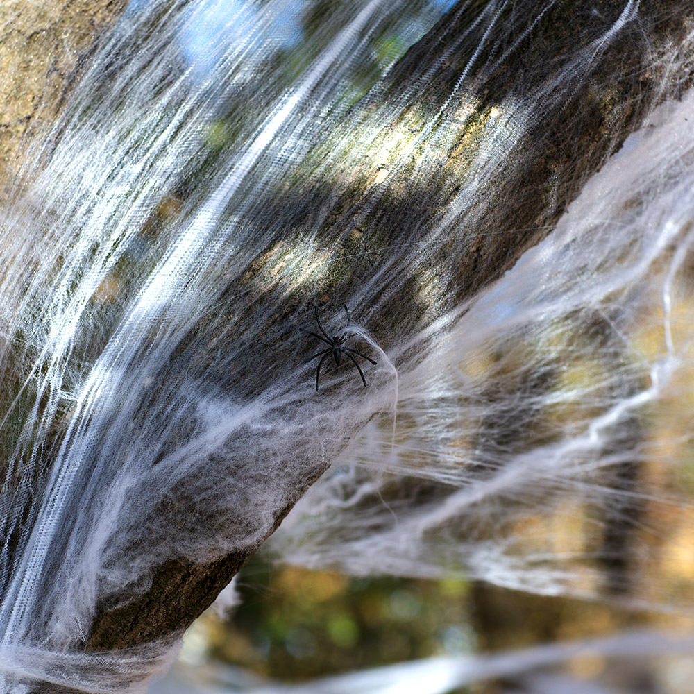 Spider web with 25 spiders:500 g, white | CH onlineshop buy at pekabo