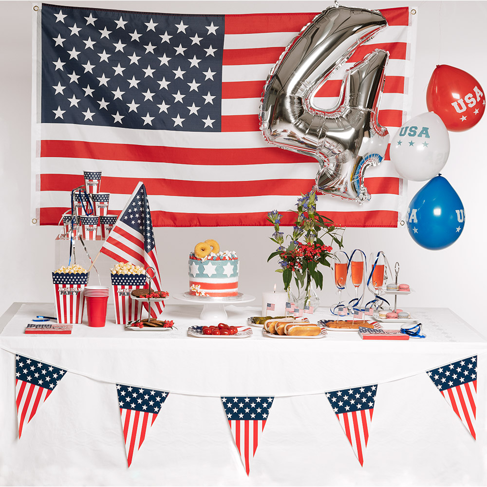 Länder / Schweiz/Papierteller AMERICAN PARTY:10 Stück, 23 cm | CH ...